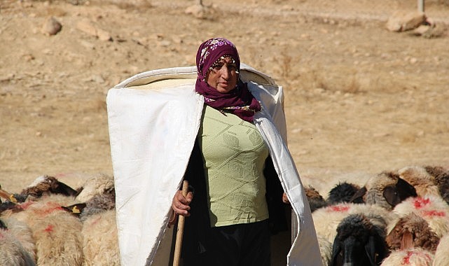 Borçla başlamıştı, şimdi hedeflerini büyüttü - GENEL - Erzurum Pusula ... Borçla başlamıştı, şimdi hedeflerini büyüttü - GENEL - Erzurum Pusula ...
